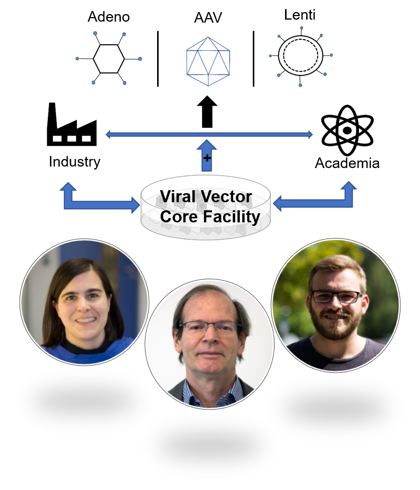 Viral Vector Core Facility | Universitätsklinikum Ulm