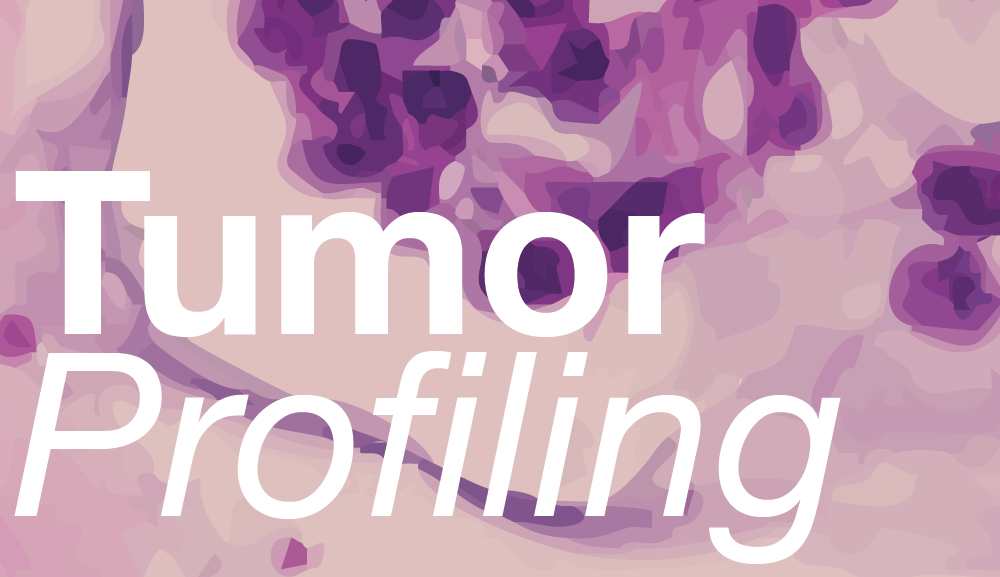 Patient-Derived Ex Vivo Models: | Universitätsklinikum Ulm