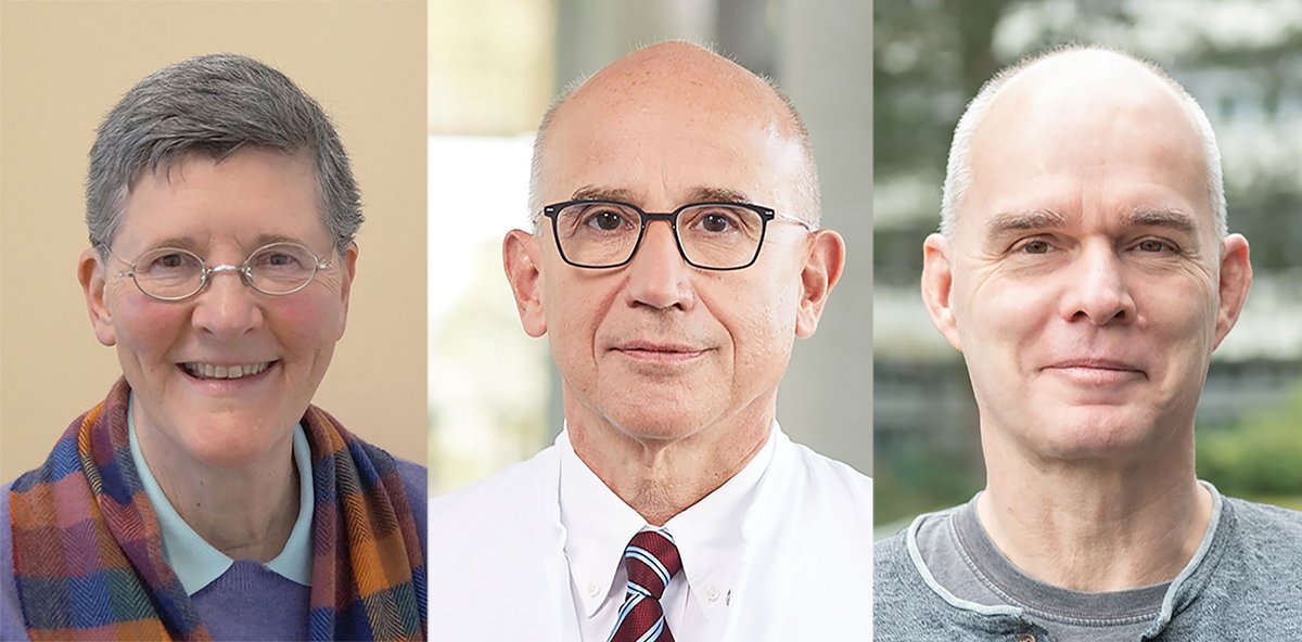 Fünf Ulmer Forschende zählen zu den „Highly Cited Researchers ...