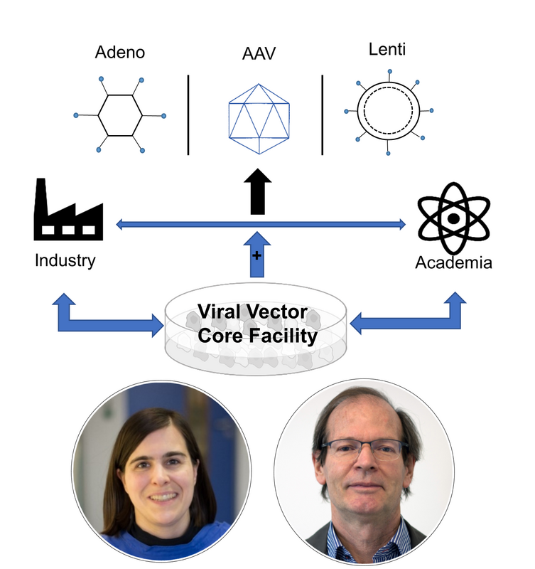 Viral Vector Core Facility | Universitätsklinikum Ulm