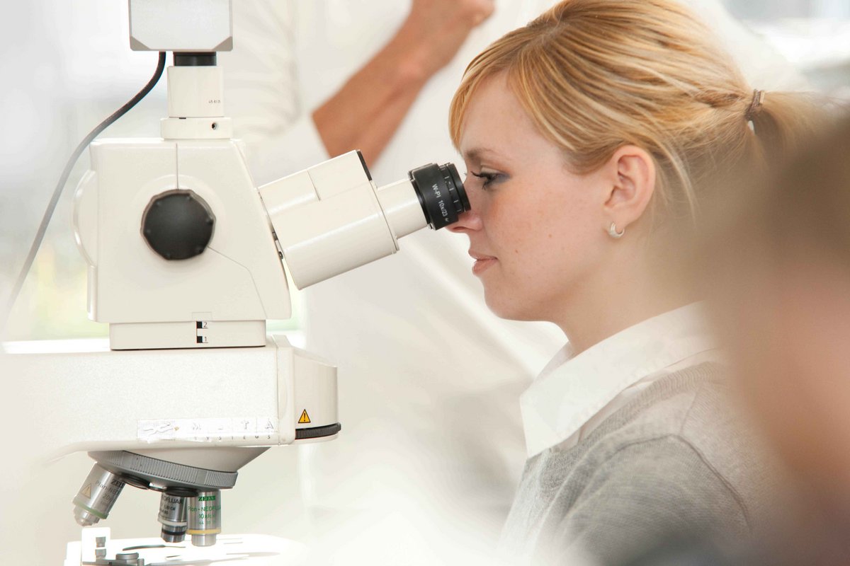 Gefragte Berufe mit großartigen Aussichten | Universitätsklinikum Ulm